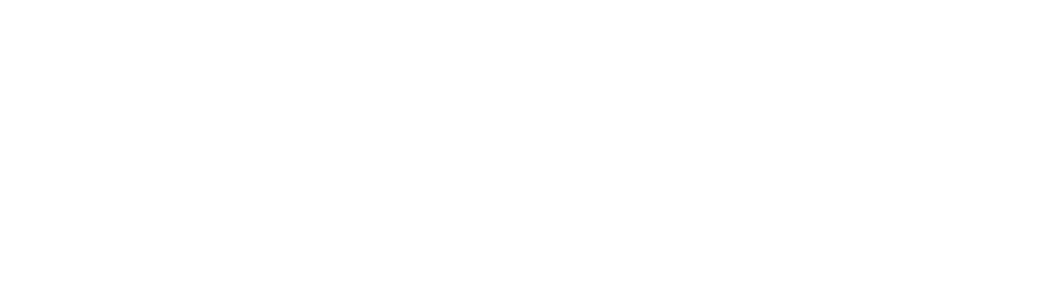 Alcedio Capital – A Financial Firm